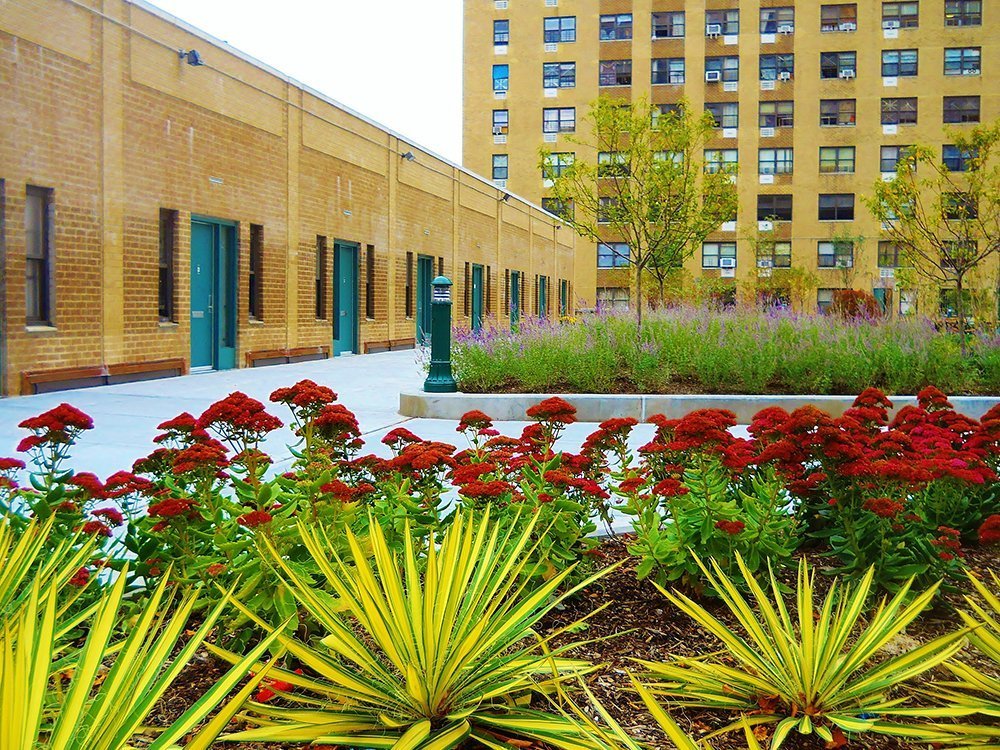 Catholic Homes | New York